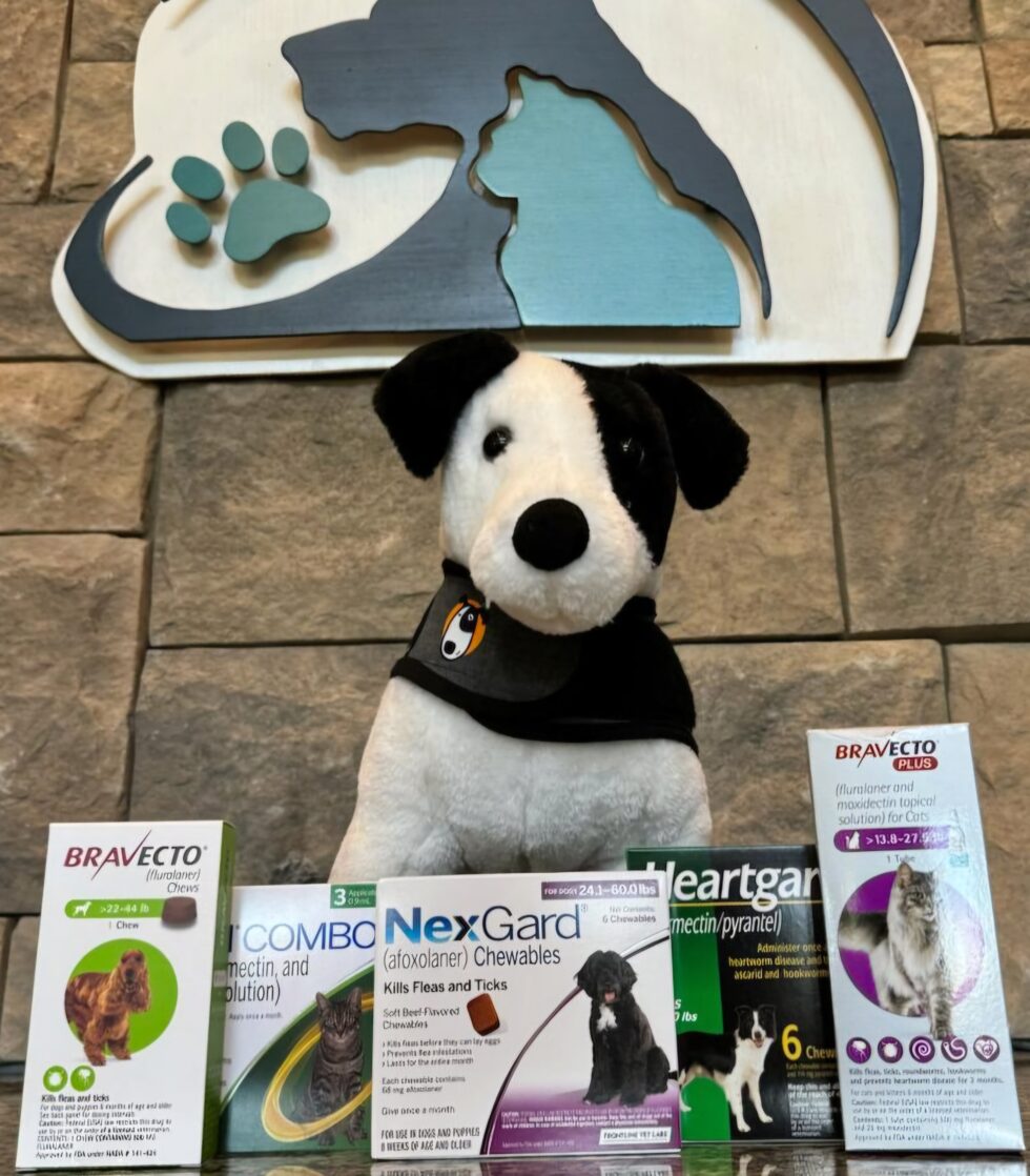 Can You Spot A Fake? | Eno Animal Hospital