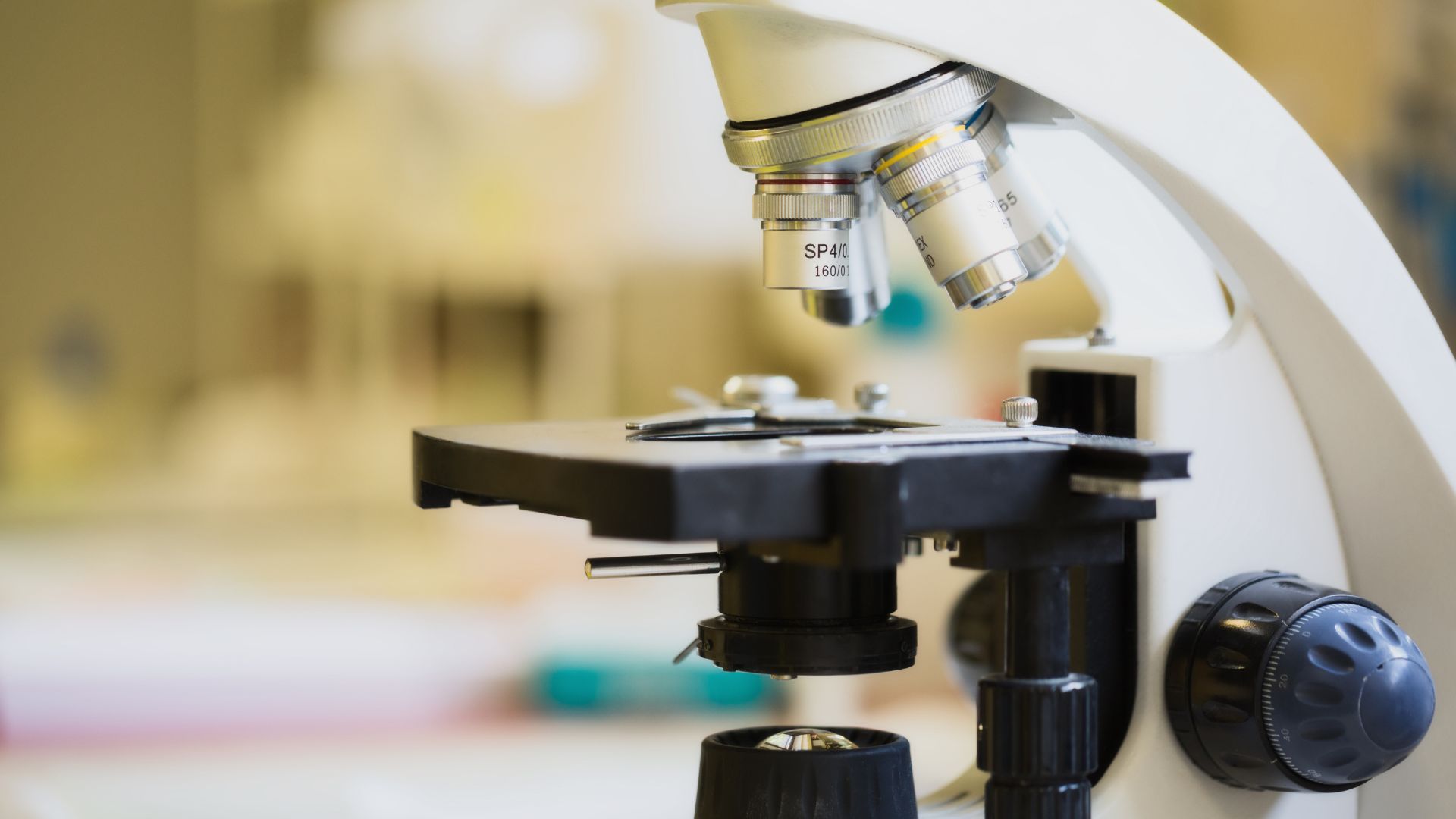 Pet Laboratory In Durham, NC 27712 | Eno Animal Hospital