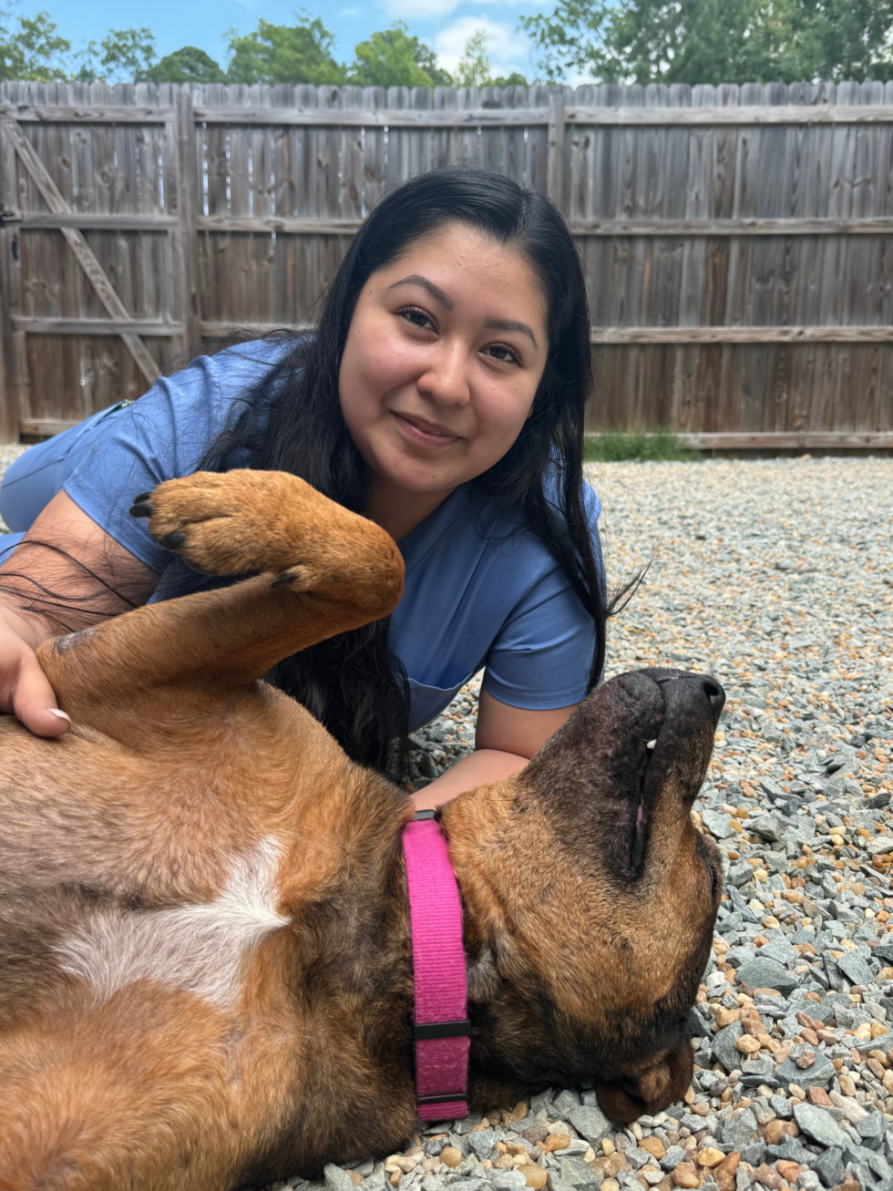 Veterinarian In Durham, NC 27712 | Eno Animal Hospital